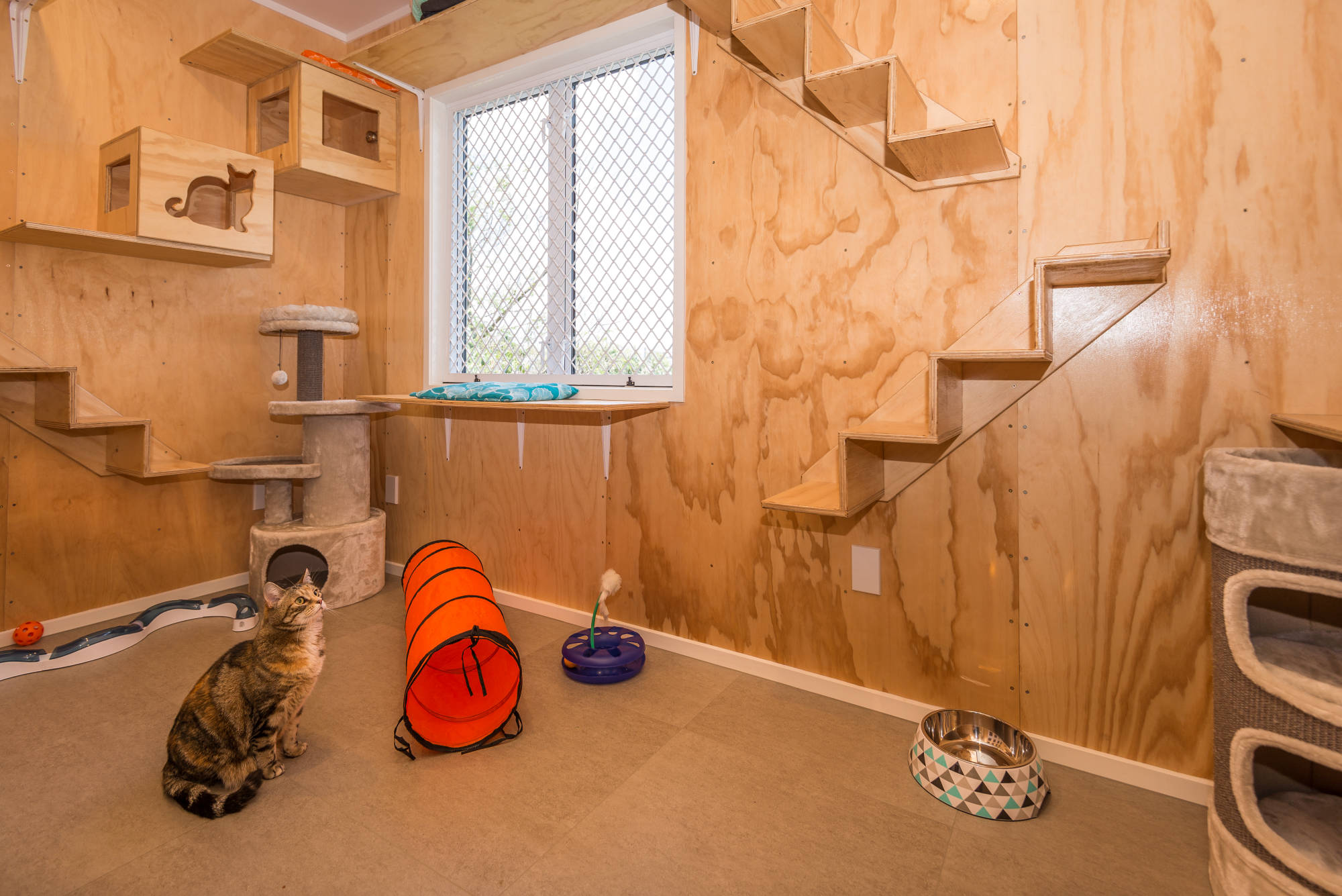 Catteries and Kennels - St Aubyn Veterinary Clinic